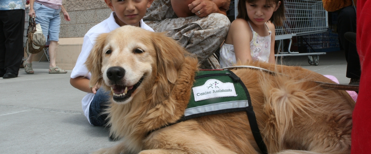 MCCS Six Things You Should Know About Service Dogs