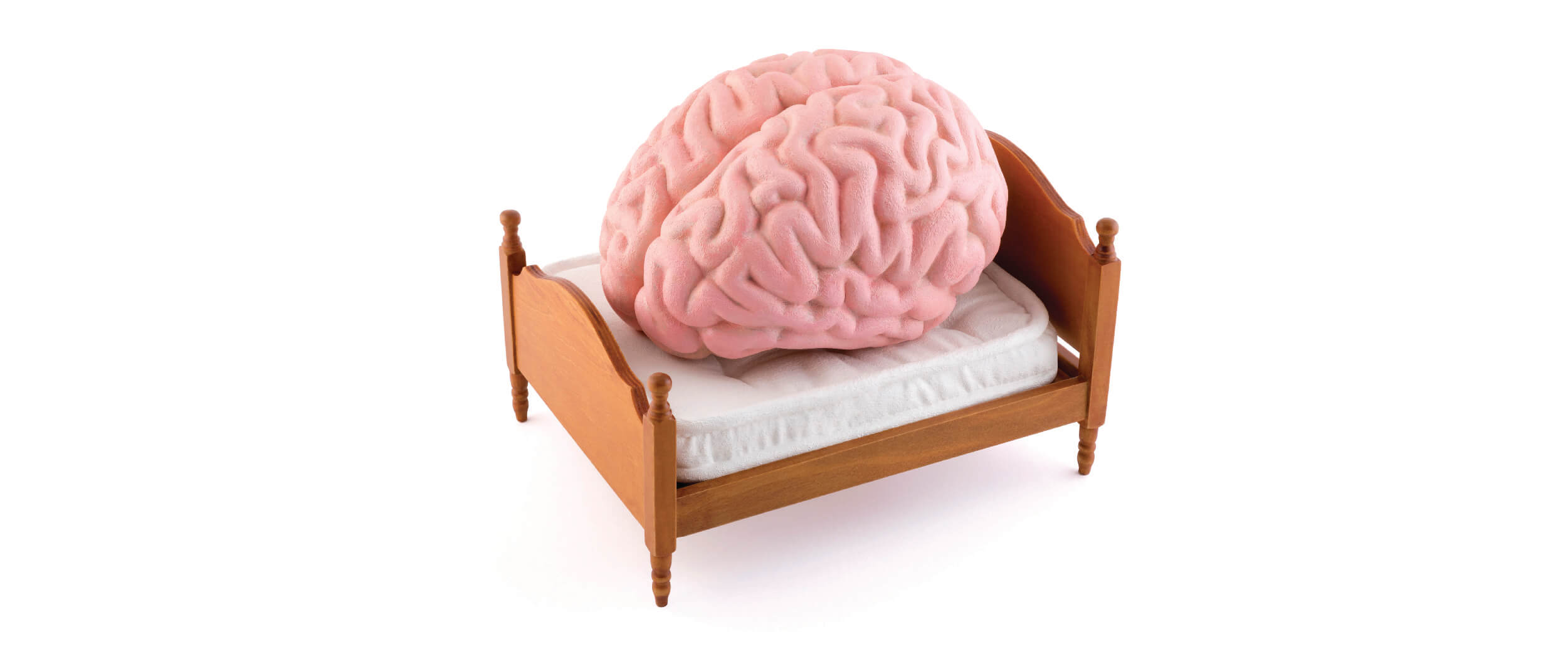 MCCS Sleep = Brain Power